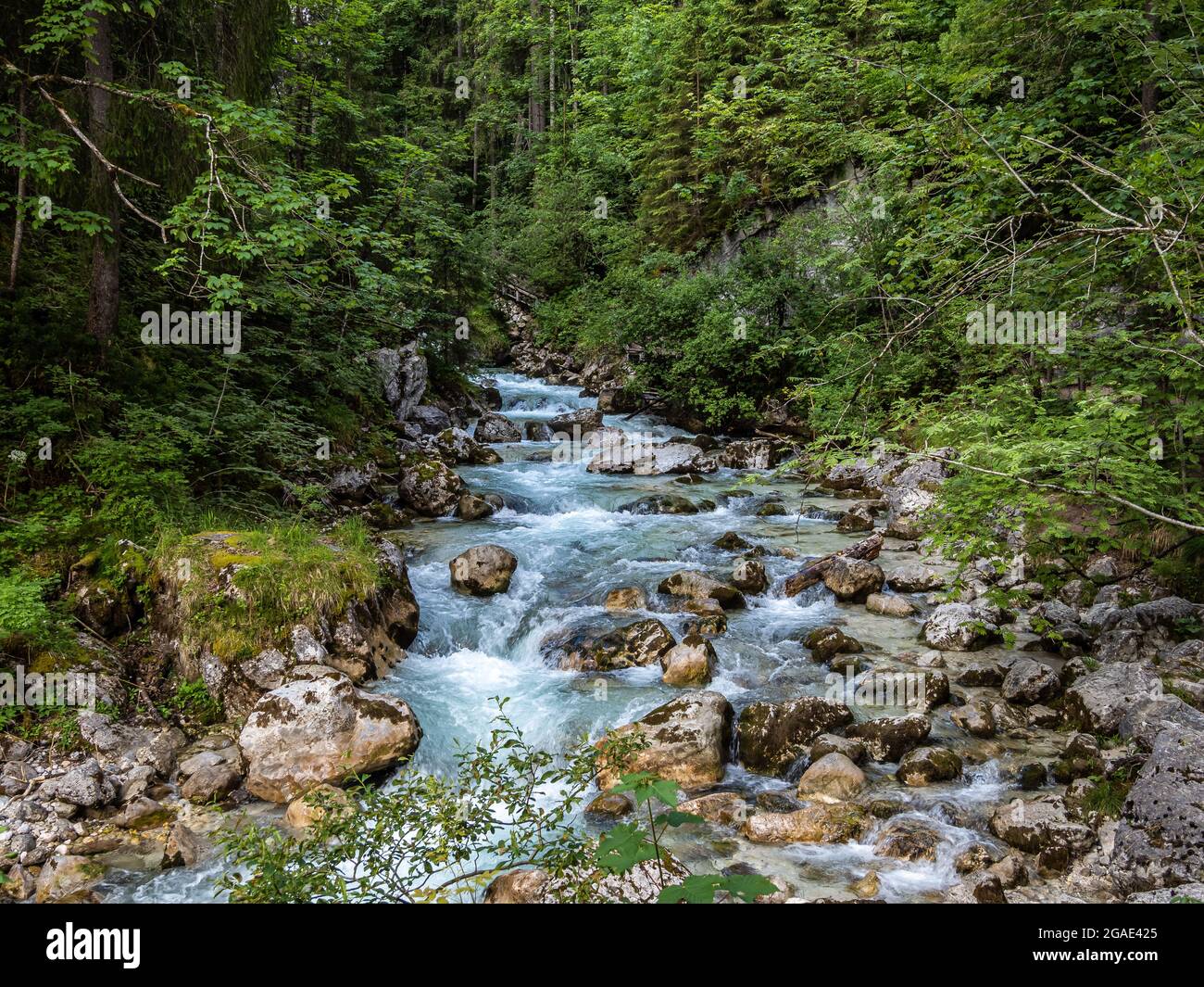 Magic Forest Zauberwald at Lake Hintersee with Creek Ramsauer Ache ...