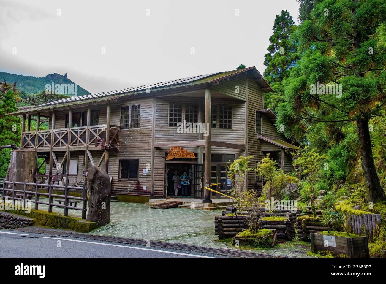 Visitor Information Center building near to Yakushima island cedar ...