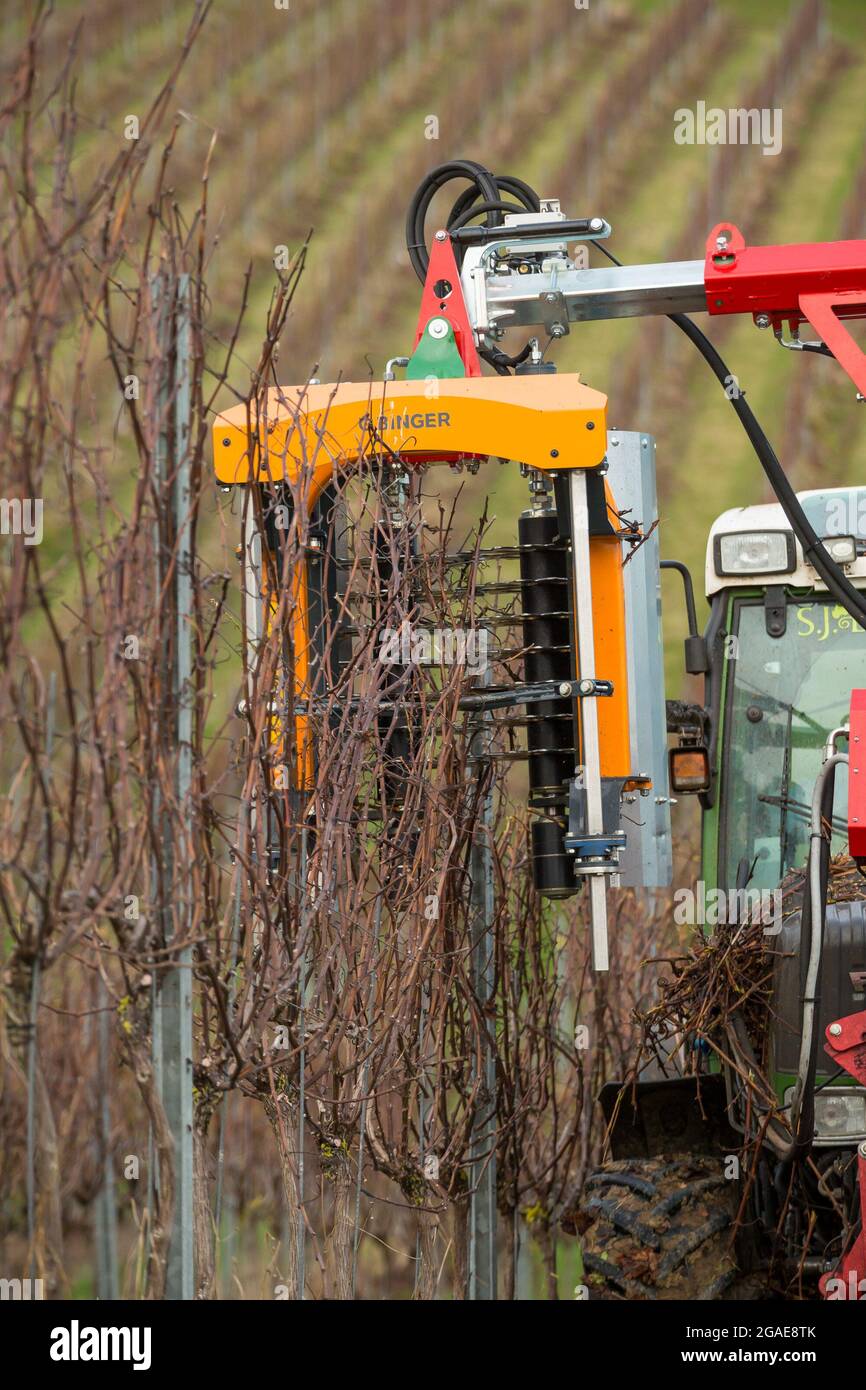 SJ Barnes Ltd operates the Pre Pruner, mounted on a Fendt 210V at ...