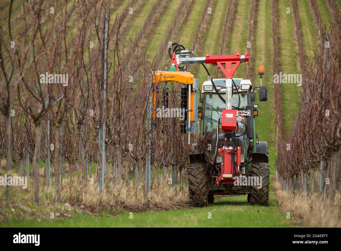 SJ Barnes Ltd operates the Pre Pruner, mounted on a Fendt 210V at ...
