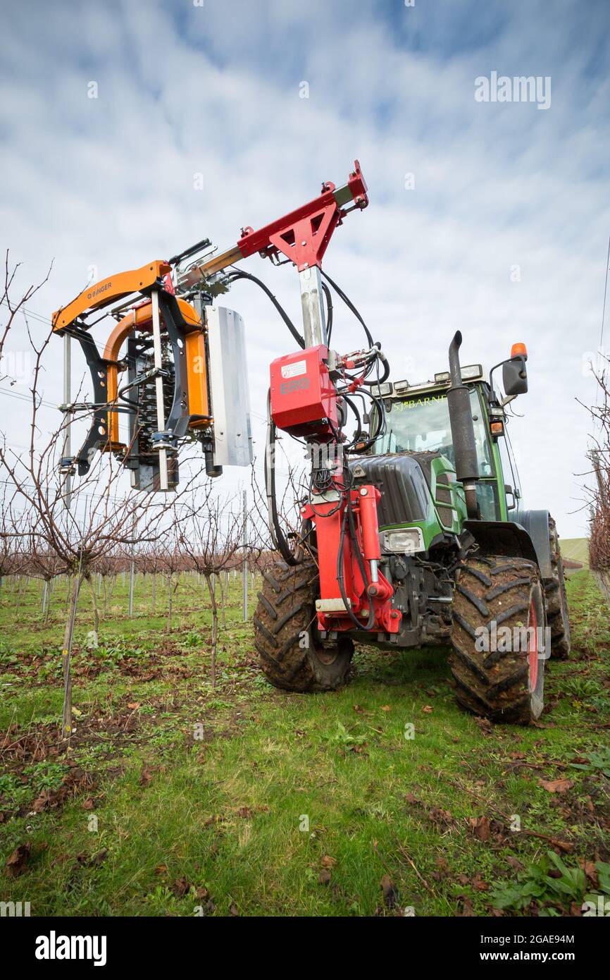 SJ Barnes Ltd operates the Pre Pruner, mounted on a Fendt 210V at ...