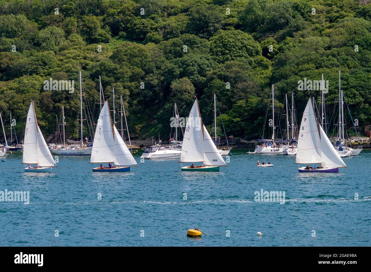 Troy-class boats particpating in competitive racing - Fowey harbour ...