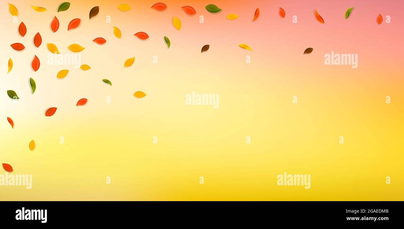 Random flying fresh green Cut Out Stock Images & Pictures - Alamy