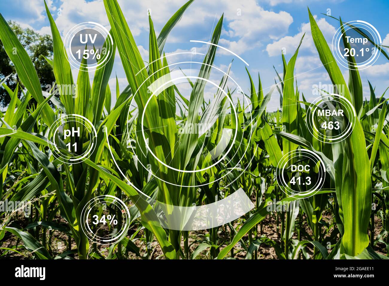 Corn Farm Smart Agriculture Technology And Farming System Stock Photo ...