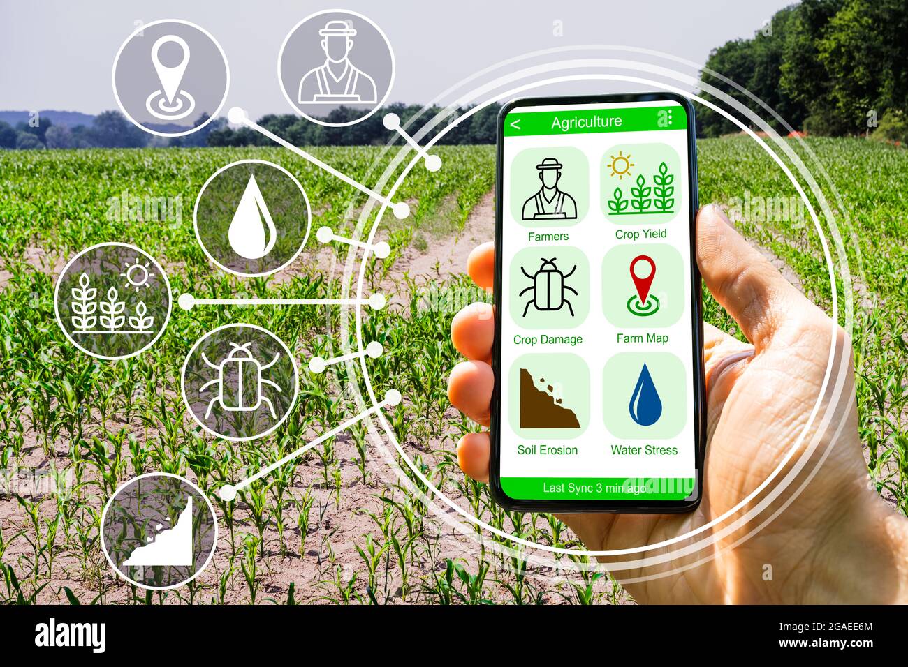 Smart Farming Digital Technology Agriculture App At Farm Stock Photo ...