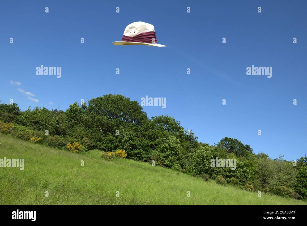 Panama hat floating against a rural landscape background Stock Photo ...