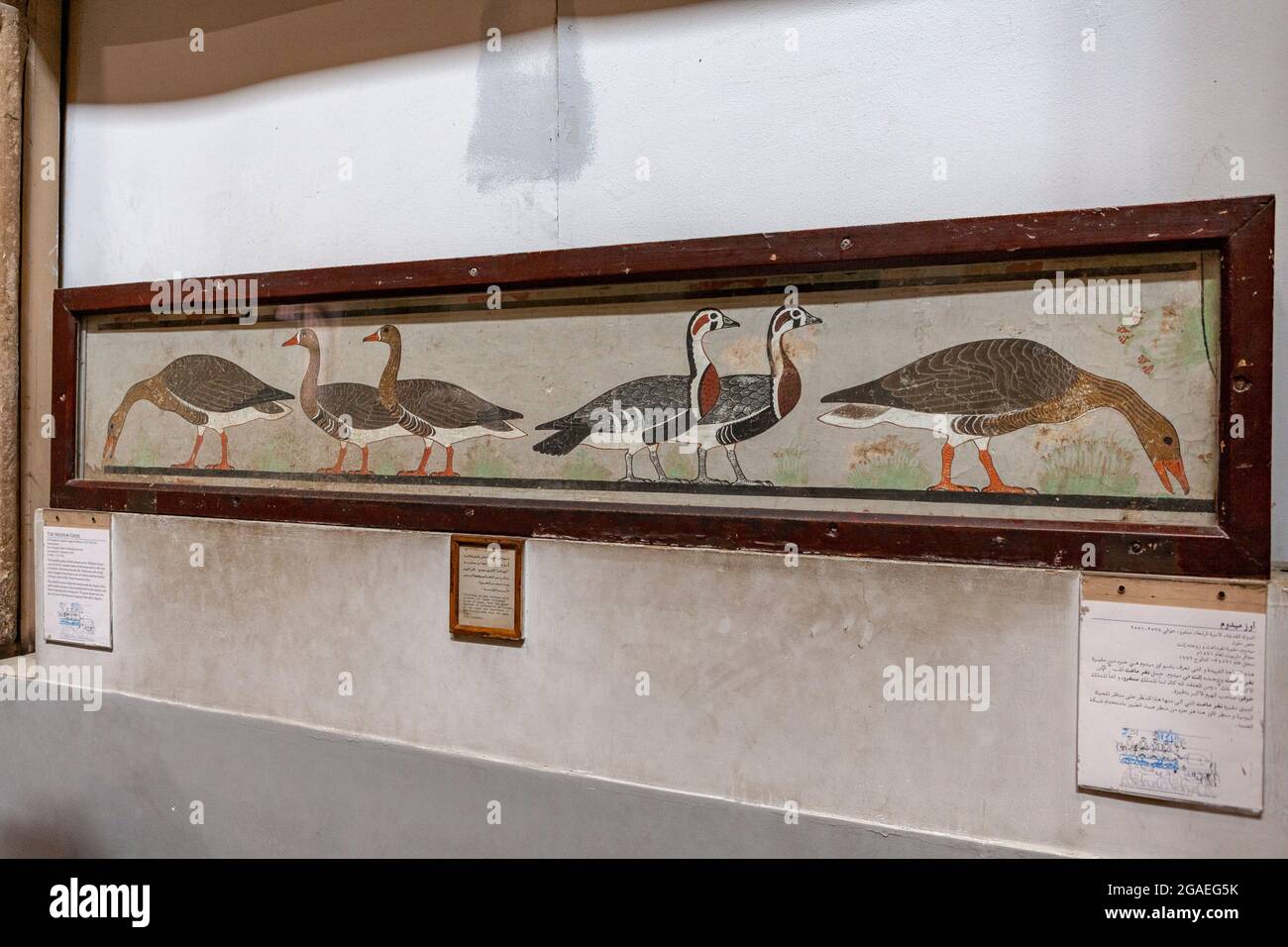 Painting of the Meidum Geese, Museum of Egyptian Antiquities, Cairo ...