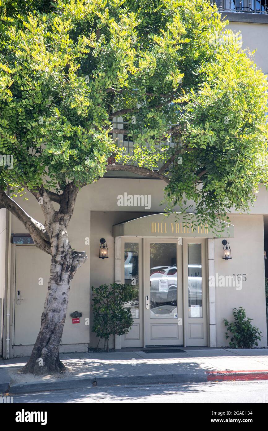The Mill Valley Inn in Mill Valley California Stock Photo - Alamy