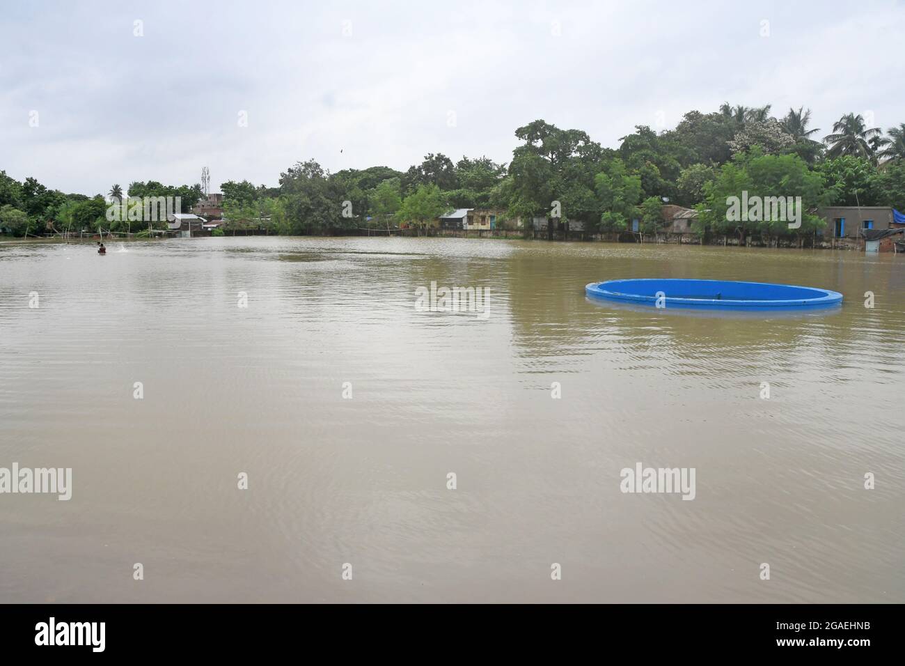 Burdwan, West Bengal / India : In Burdwan civic town areas uncountable ...