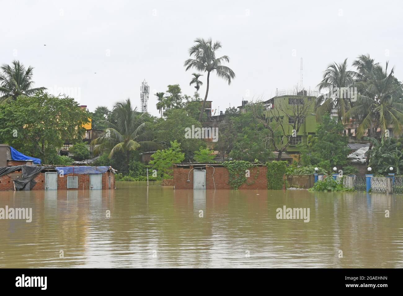 Burdwan, West Bengal / India : In Burdwan civic town areas uncountable ...