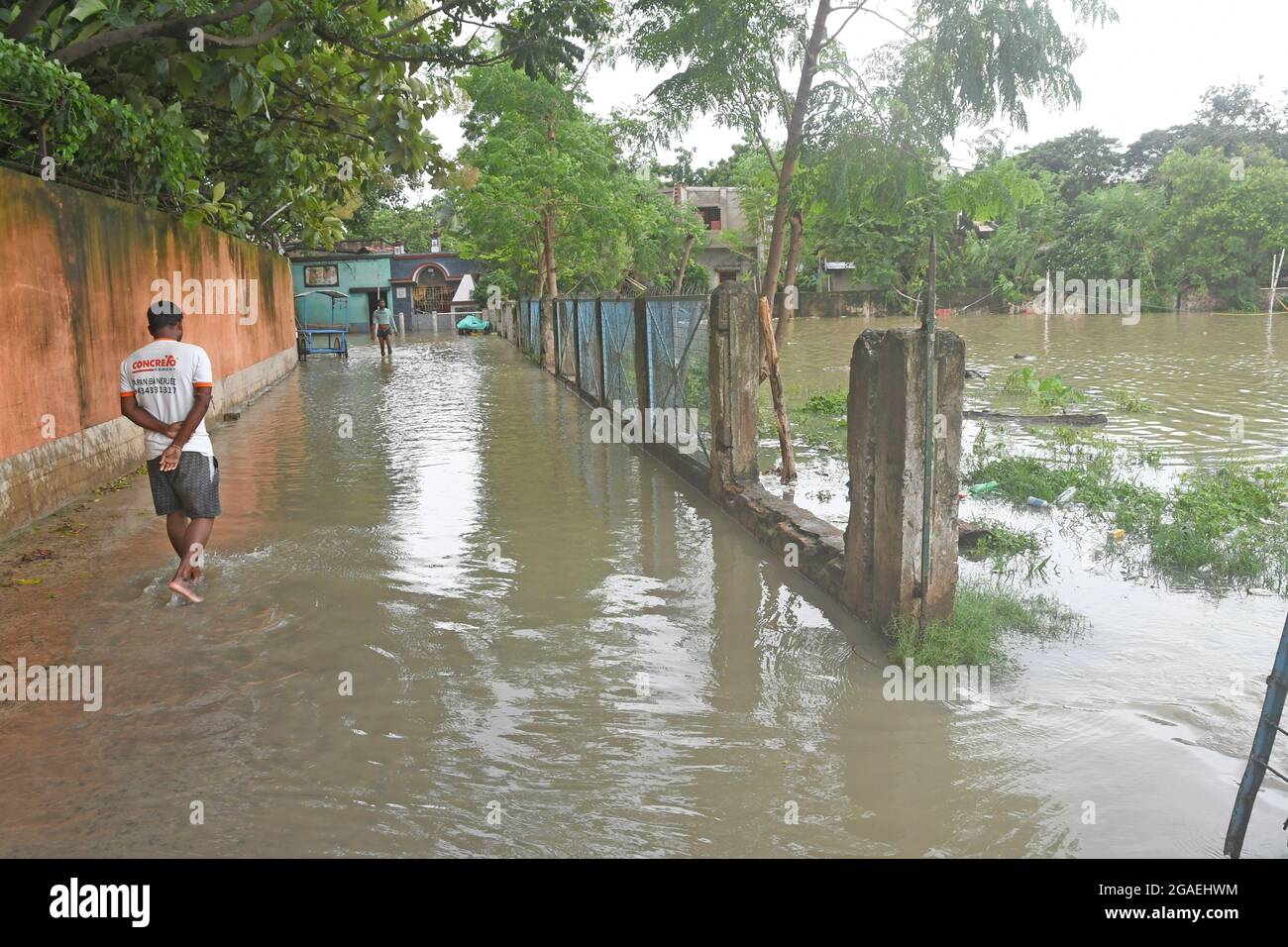 Burdwan, West Bengal / India : In Burdwan civic town areas uncountable ...