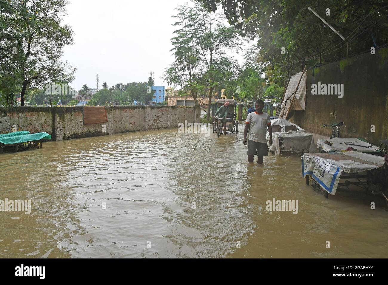 Burdwan, West Bengal / India : In Burdwan civic town areas uncountable ...
