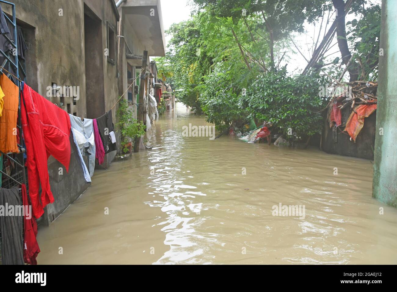 Burdwan, West Bengal / India : In Burdwan civic town areas uncountable ...