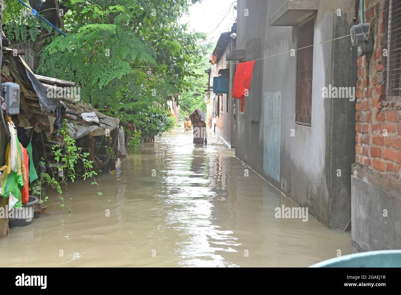 Burdwan, West Bengal / India : In Burdwan civic town areas uncountable ...