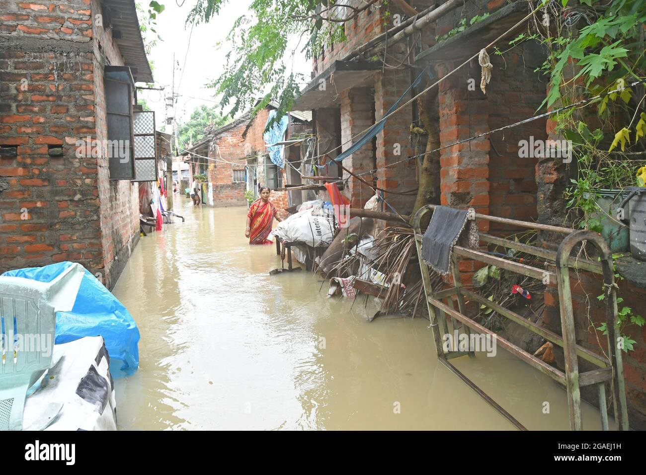 Burdwan, West Bengal / India : In Burdwan civic town areas uncountable ...