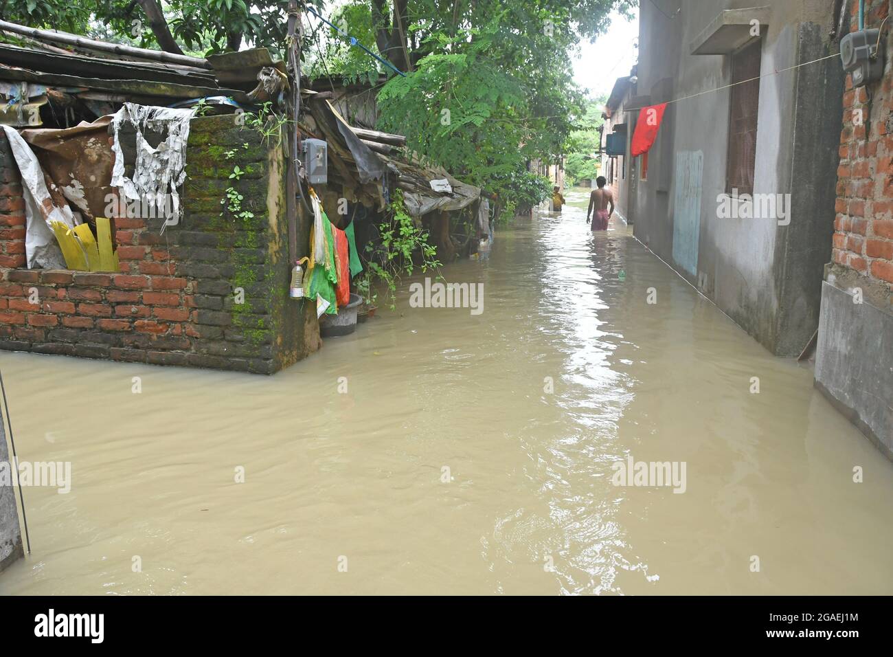Burdwan, West Bengal / India : In Burdwan civic town areas uncountable ...