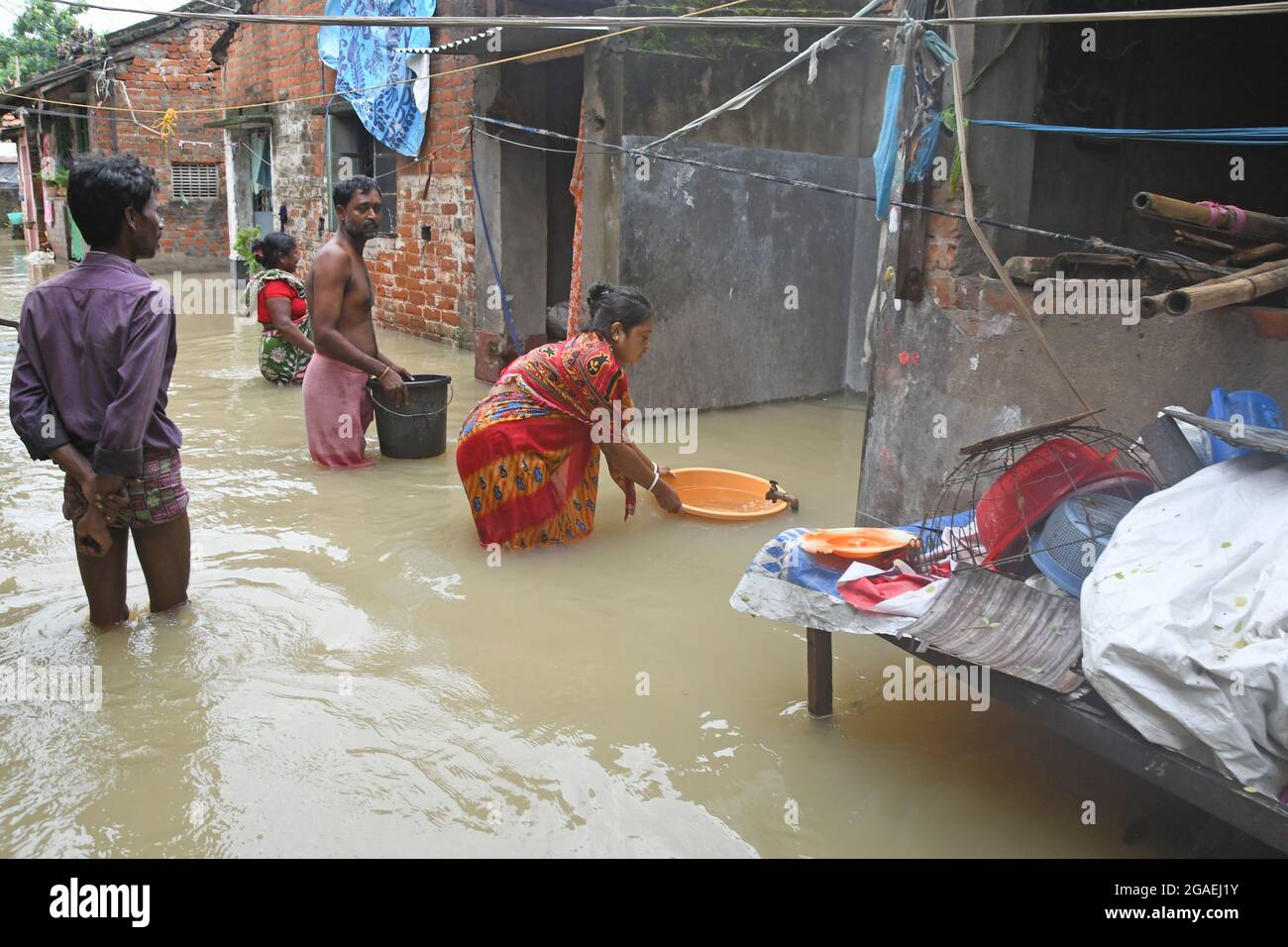Burdwan, West Bengal / India : In Burdwan civic town areas uncountable ...