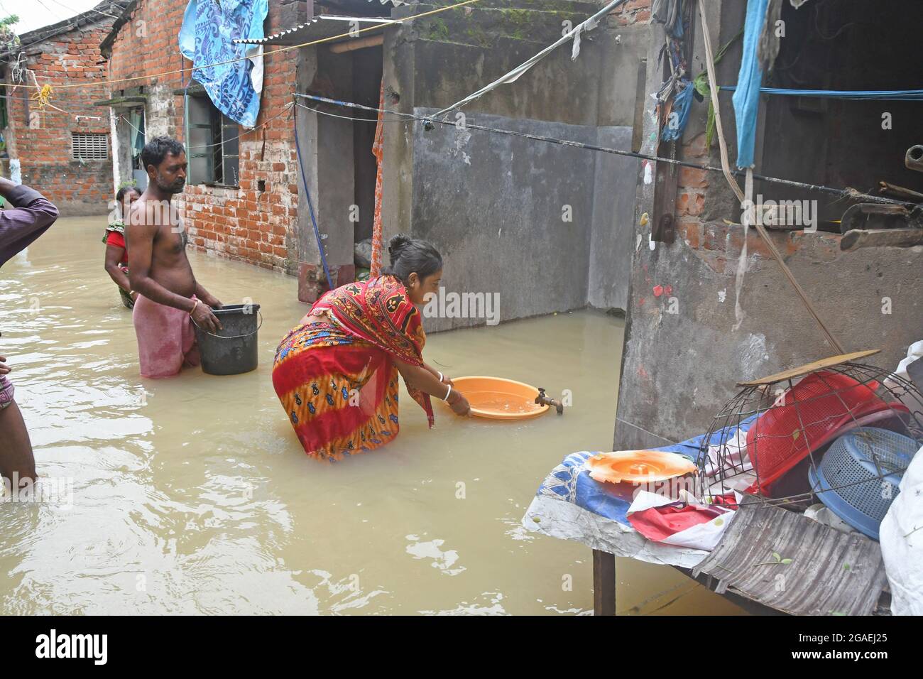 Burdwan, West Bengal / India : In Burdwan civic town areas uncountable ...