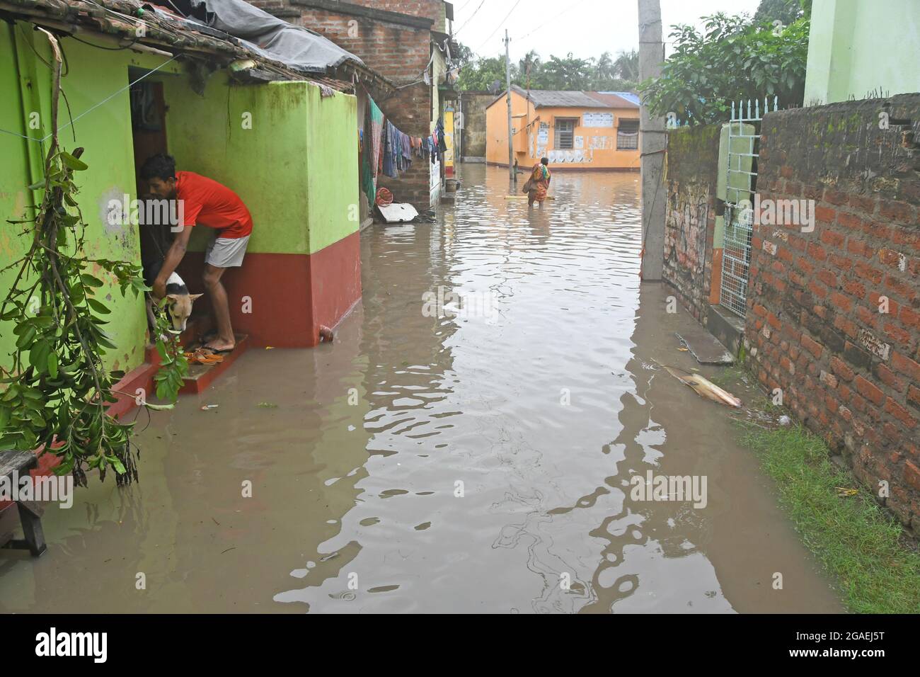 Burdwan, West Bengal / India : In Burdwan civic town areas uncountable ...
