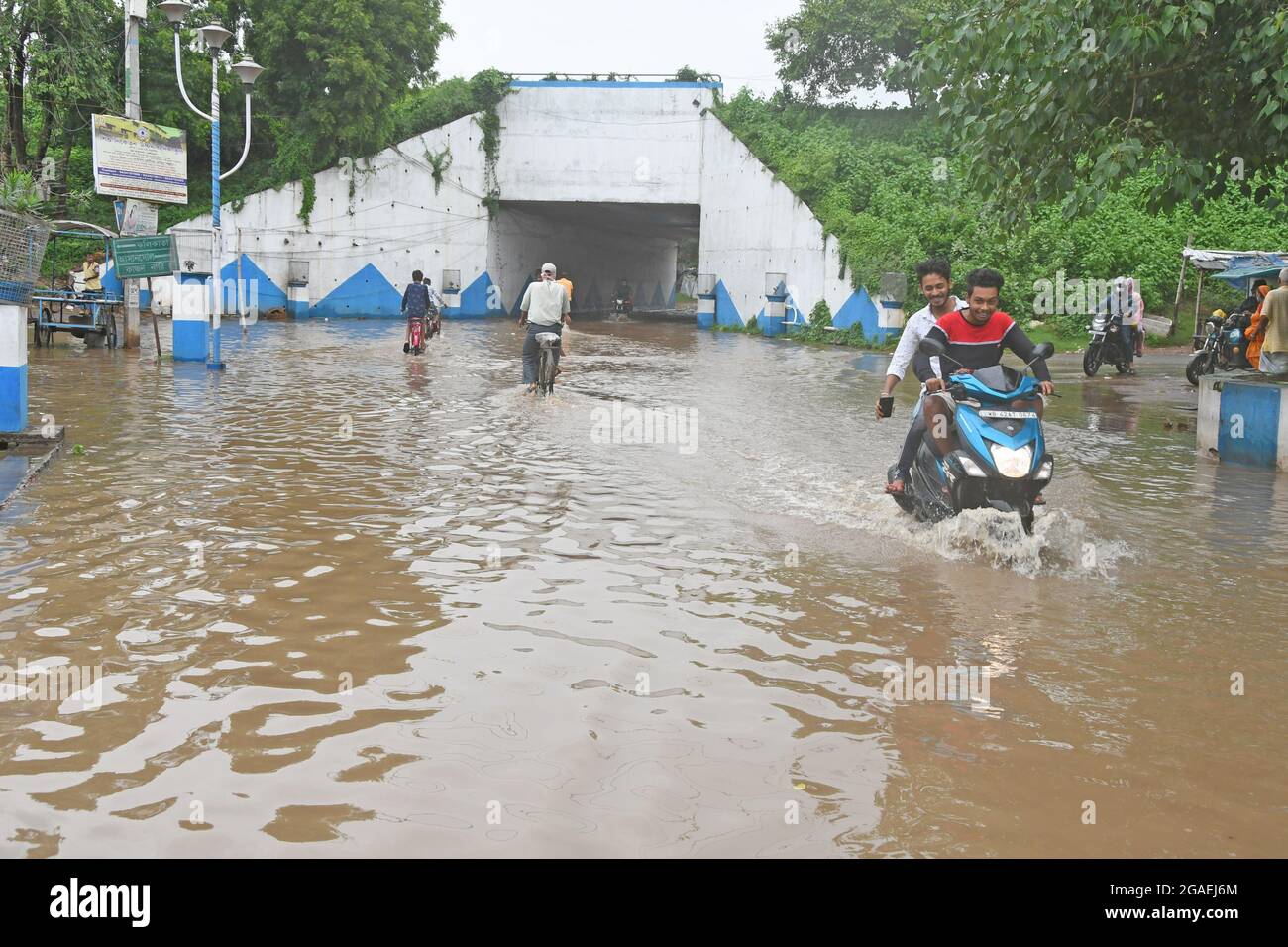 Burdwan, West Bengal / India : In Burdwan civic town areas uncountable ...