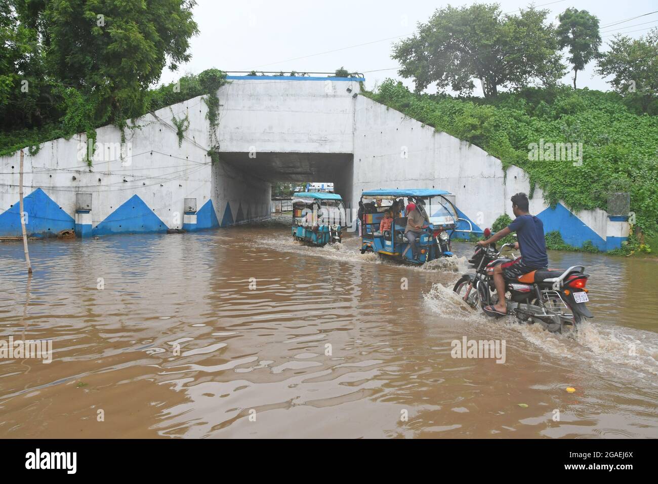 Burdwan, West Bengal / India : In Burdwan civic town areas uncountable ...