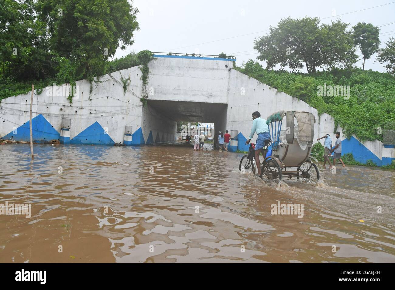 Burdwan, West Bengal / India : In Burdwan civic town areas uncountable ...