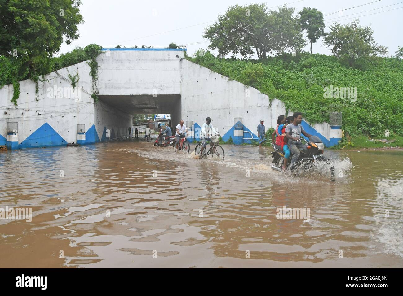 Burdwan, West Bengal / India : In Burdwan civic town areas uncountable ...