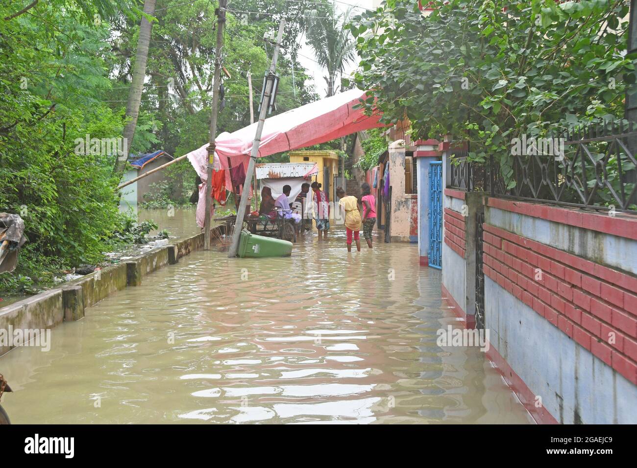 Burdwan, West Bengal / India : In Burdwan civic town areas uncountable ...