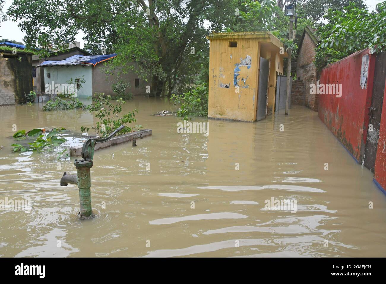 Burdwan, West Bengal / India : In Burdwan civic town areas uncountable ...