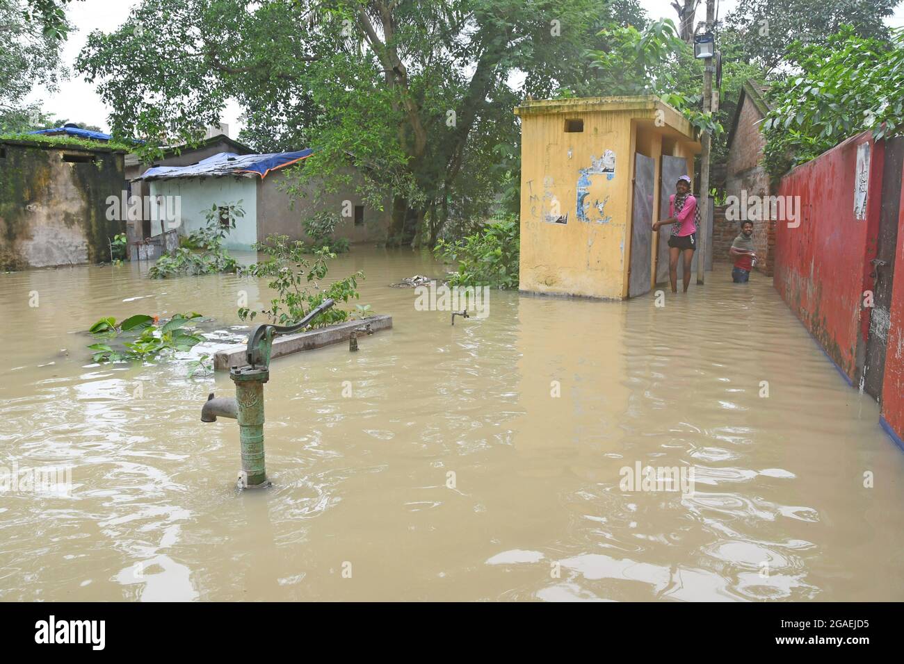 Burdwan, West Bengal / India : In Burdwan civic town areas uncountable ...