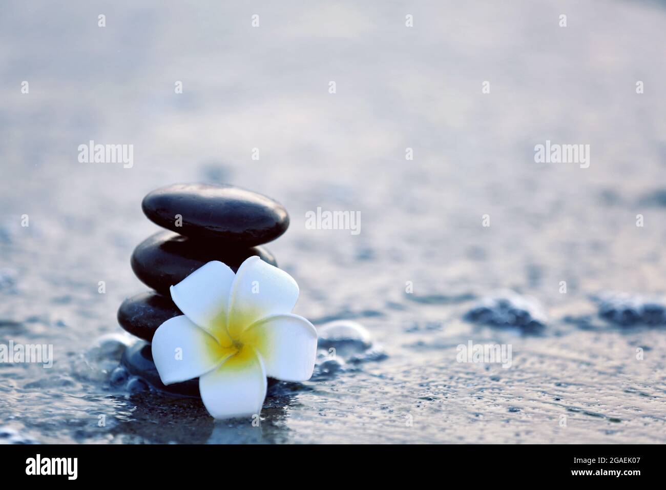 Spa stones with flower on sea beach outdoors Stock Photo - Alamy