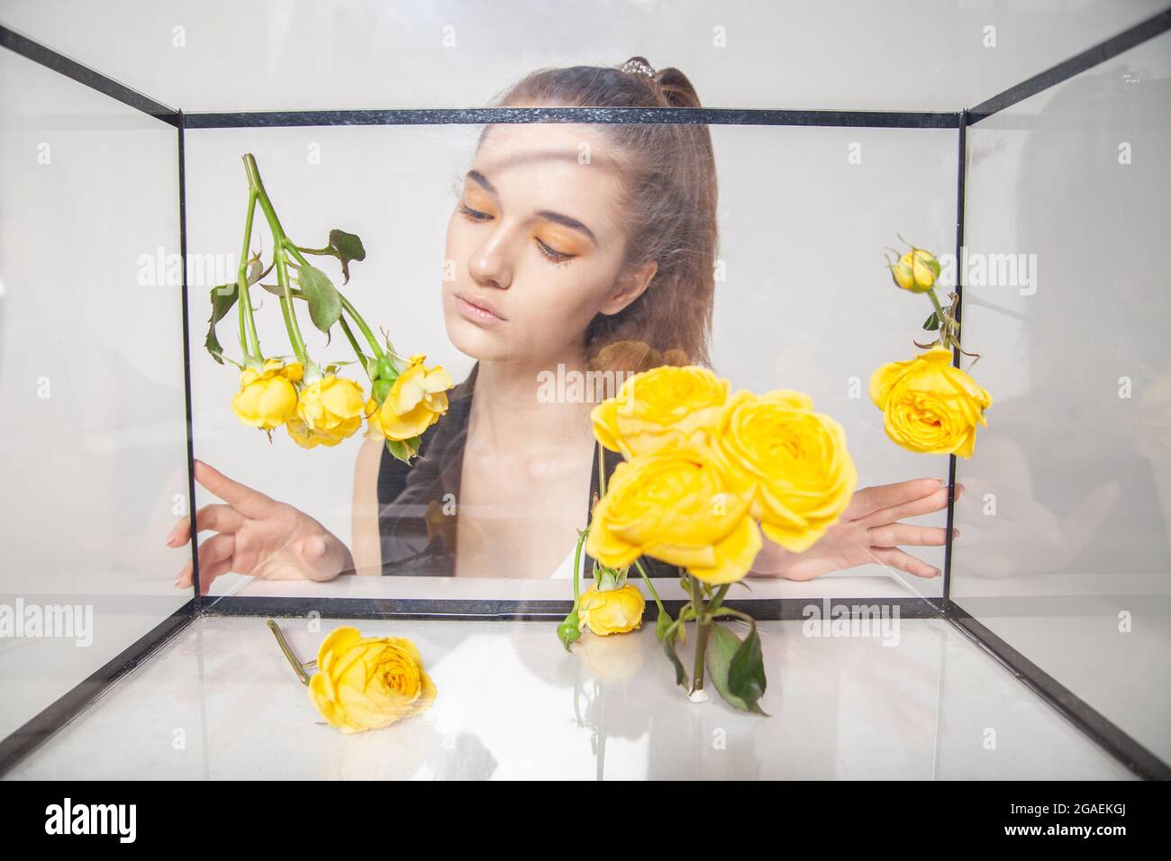 Female model behind glass box with flowers Stock Photo - Alamy