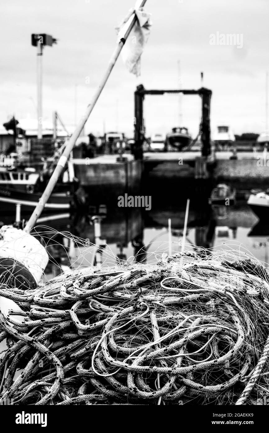 France normandy saint vaast la Black and White Stock Photos & Images ...