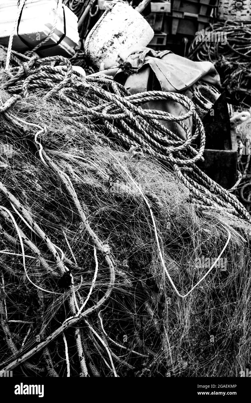 France normandy saint vaast la Black and White Stock Photos & Images ...