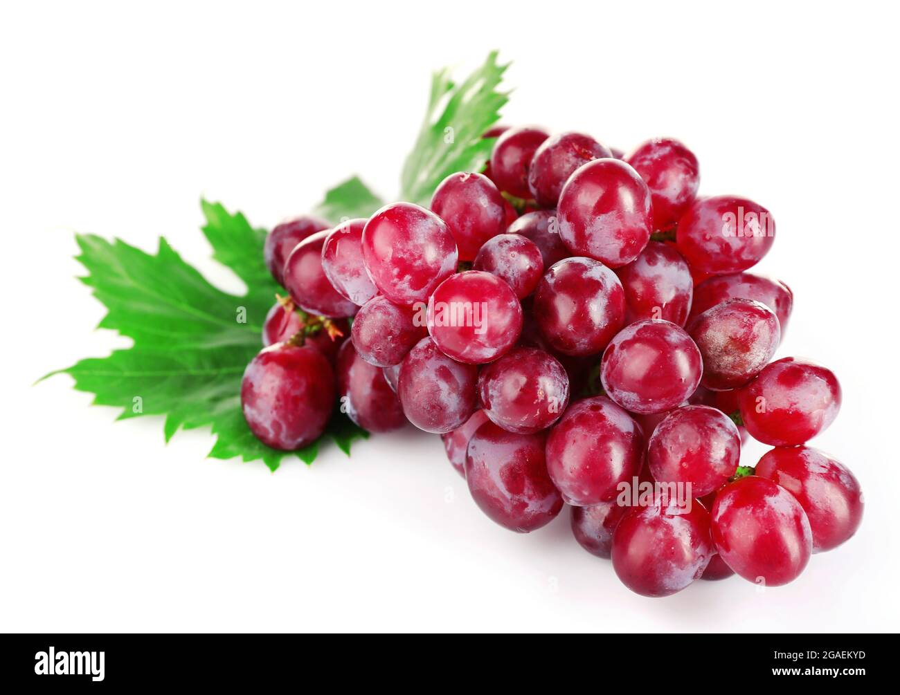 Bunch of red grape with leaf isolated on white Stock Photo - Alamy