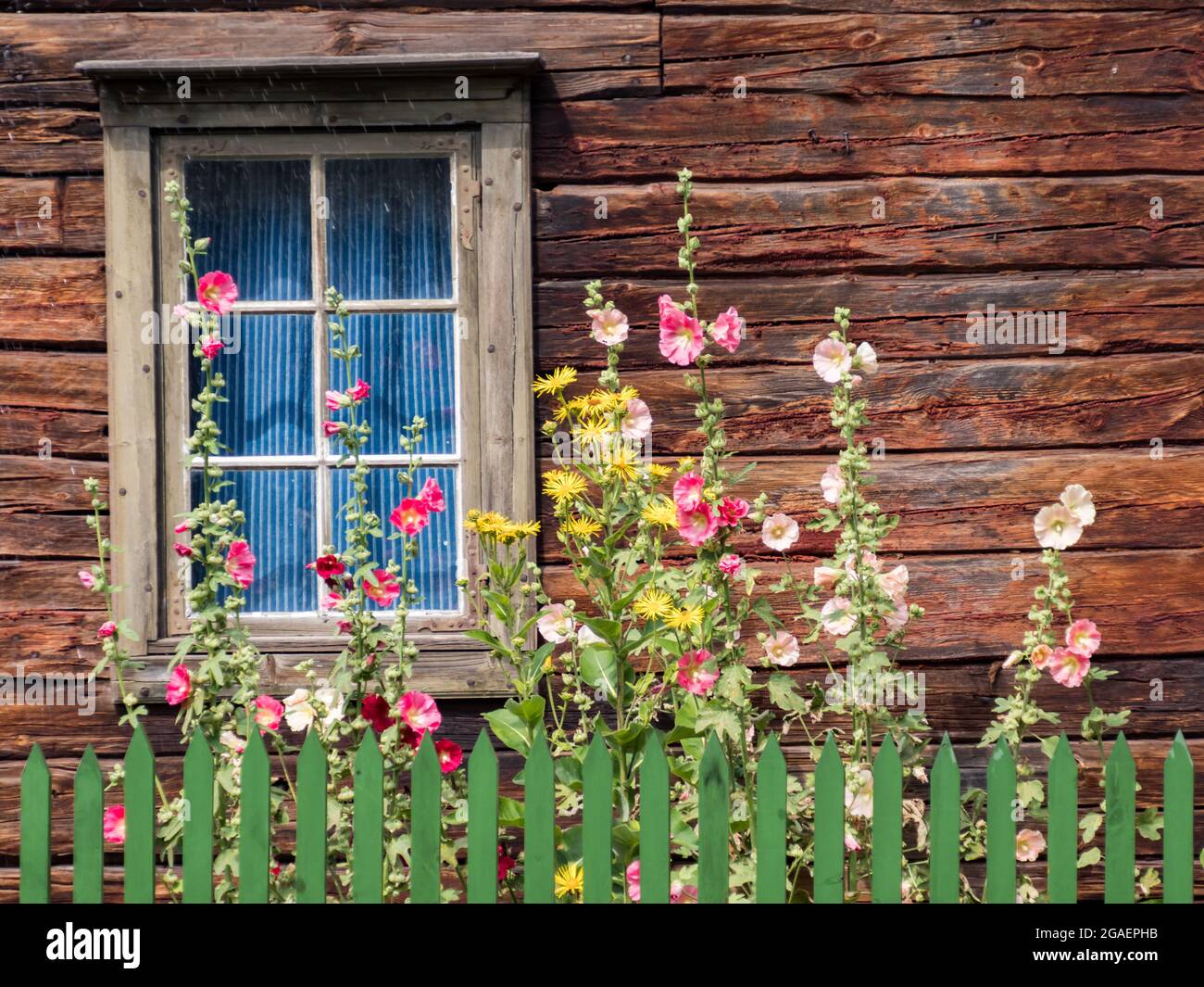 Traditional swedish farm house hi-res stock photography and images - Alamy