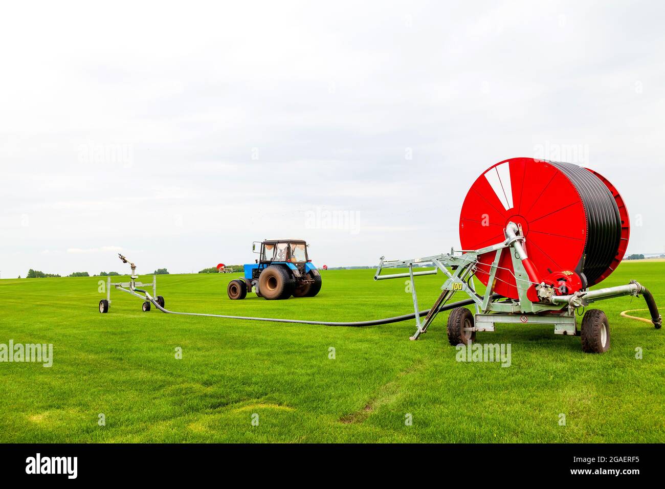 Watering a vegetable green field with a big water hose on the red ...