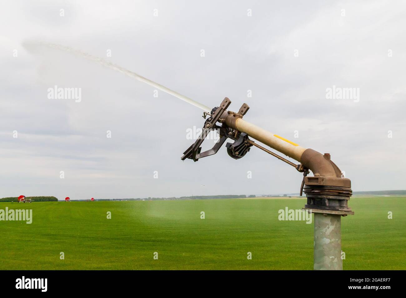 Sprinkler watering agricultural field in the sun Irrigation plant in ...