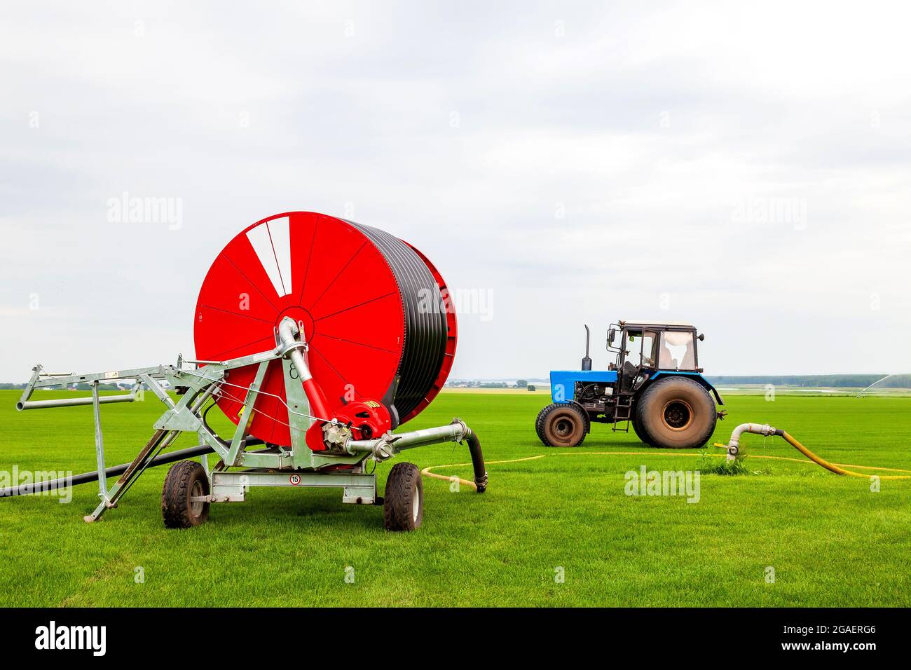 Watering a vegetable green field with a big water hose on the red ...