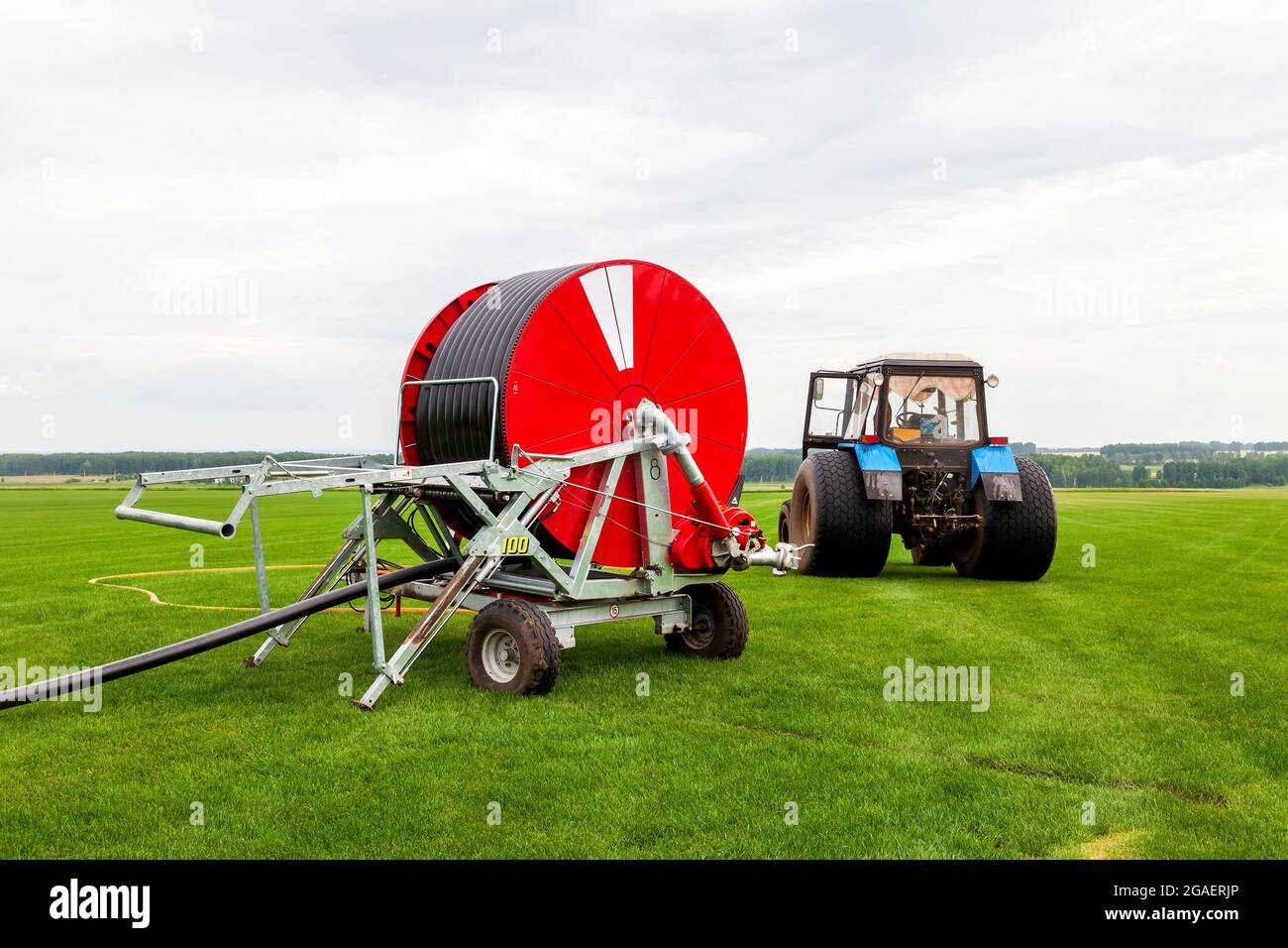 Watering a vegetable green field with a big water hose on the red ...