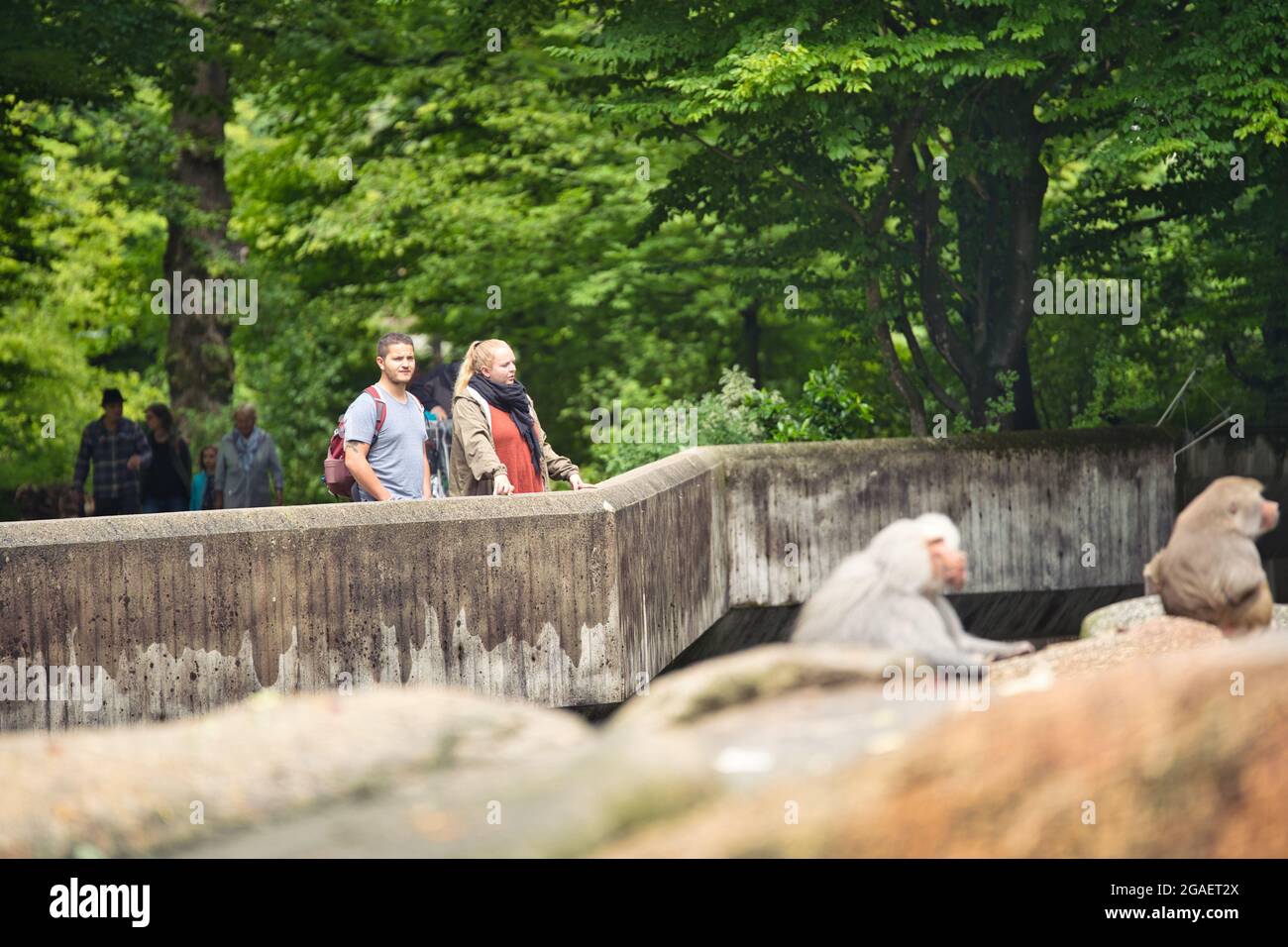 MUNICH, GERMANY - Jul 18, 2021: A scene of visitors watching the ...