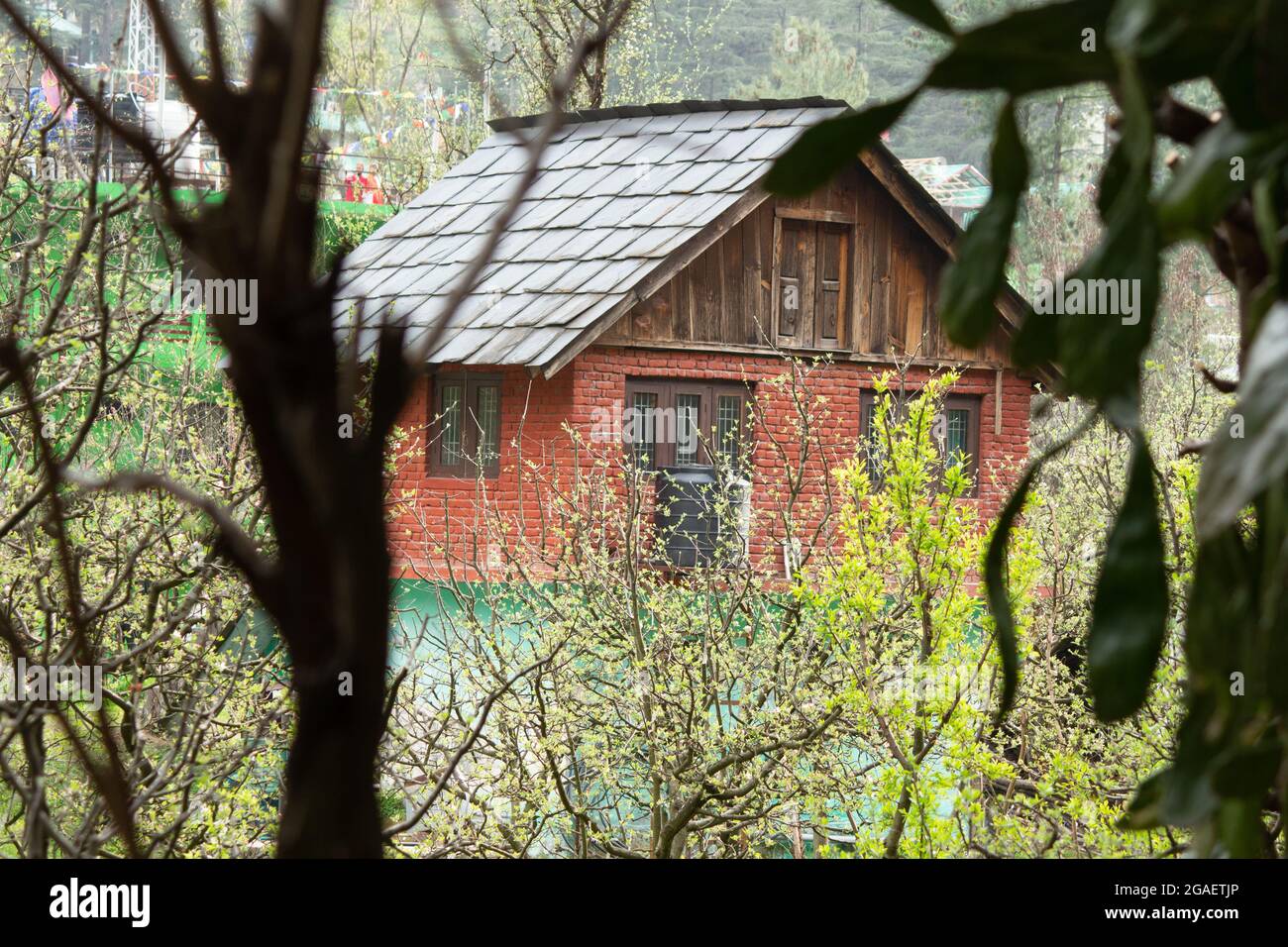 Rural house surrounded by trees in the Kasol, Himachal Pradesh, India ...
