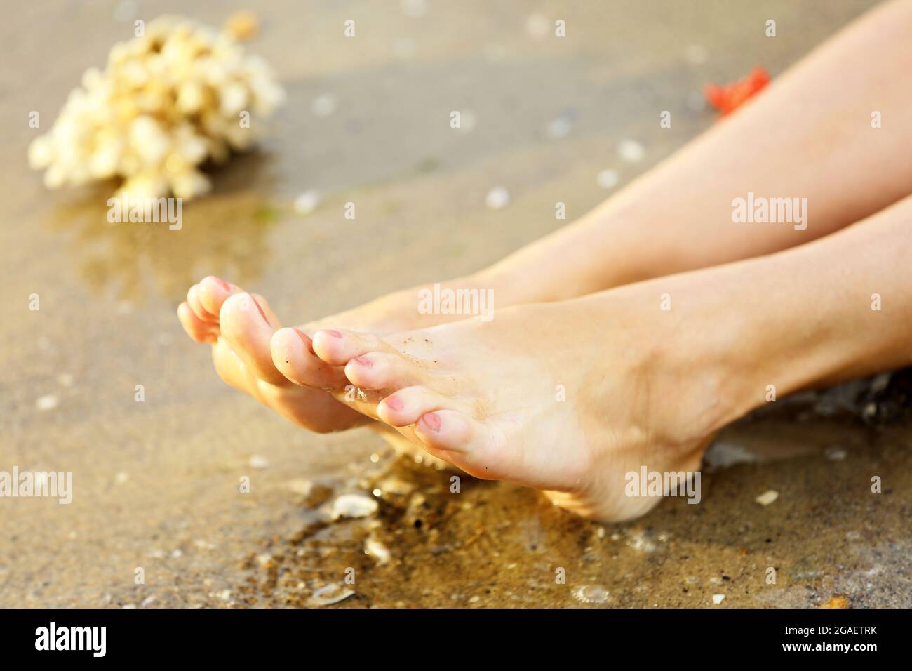 Female legs with shells on sand beach Stock Photo - Alamy