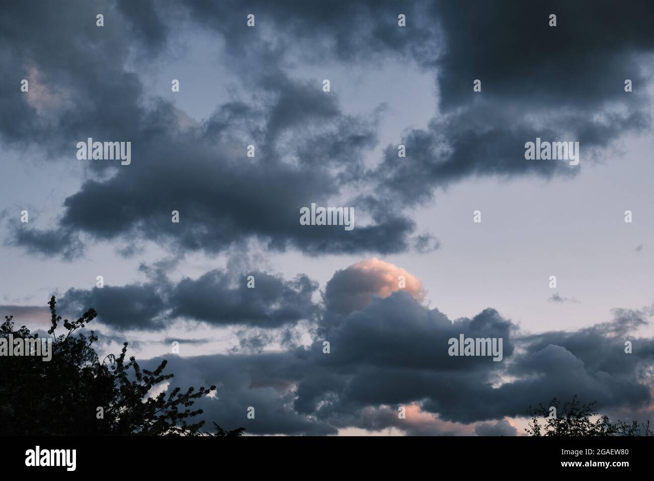 Cumulonimbus cloud at sunset Stock Photo - Alamy