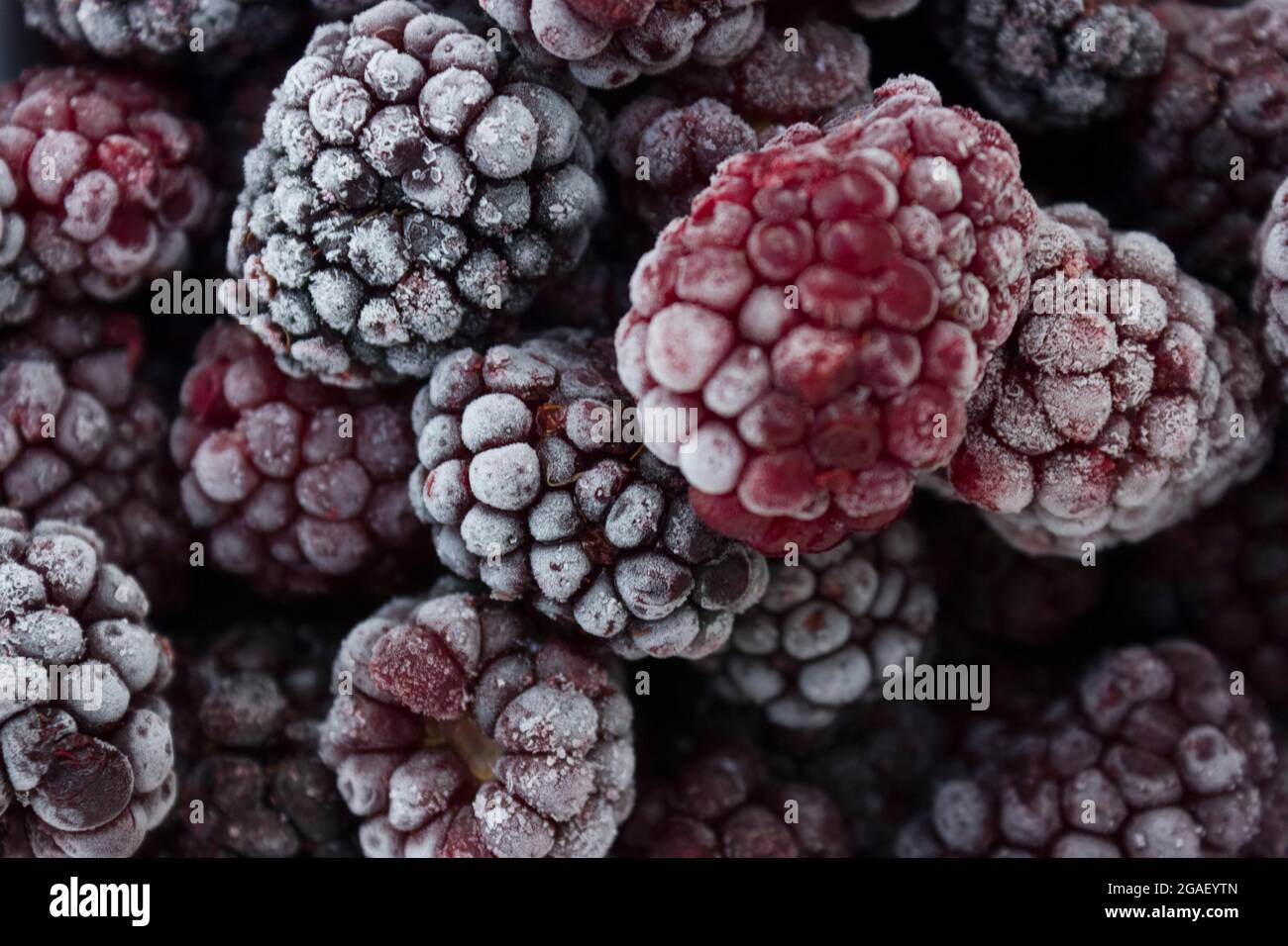 frozen food, frozen blackberries, frozen berries. Frozen Blackberry ...