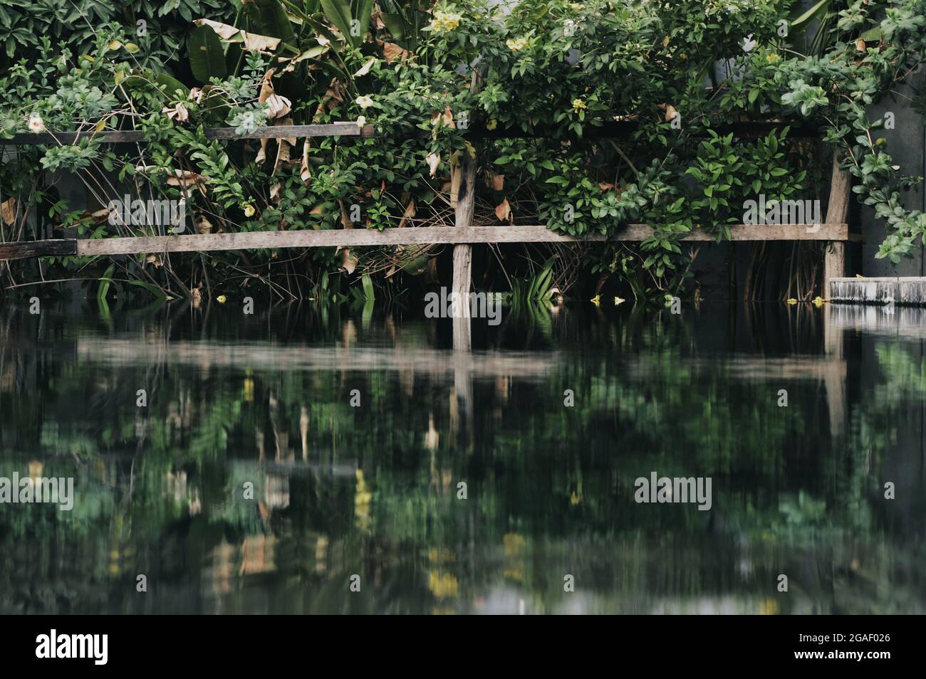 Pool fence reflection hi-res stock photography and images - Alamy