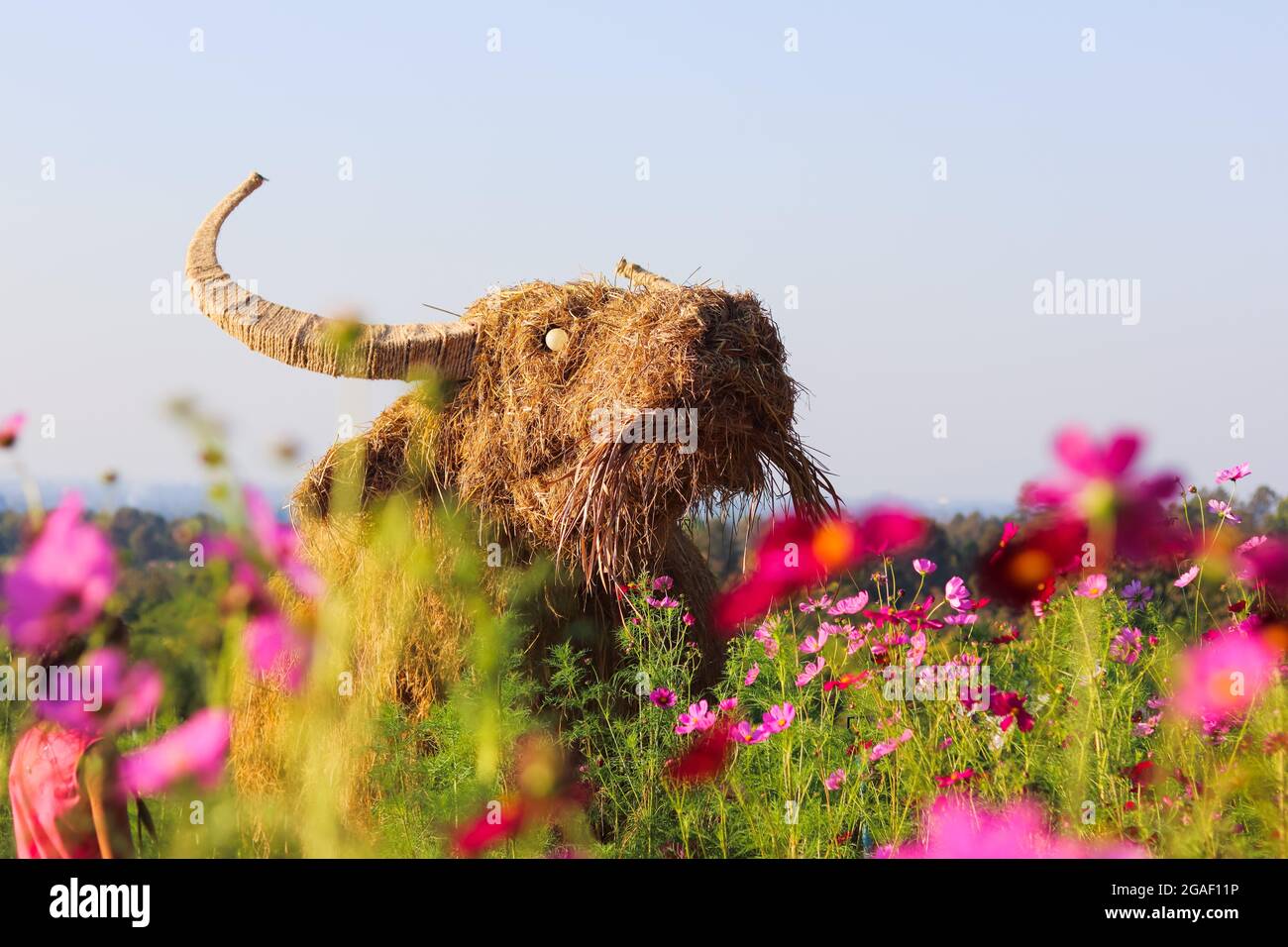 A straw puppet made in the shape of a buffalo is installed inside the ...