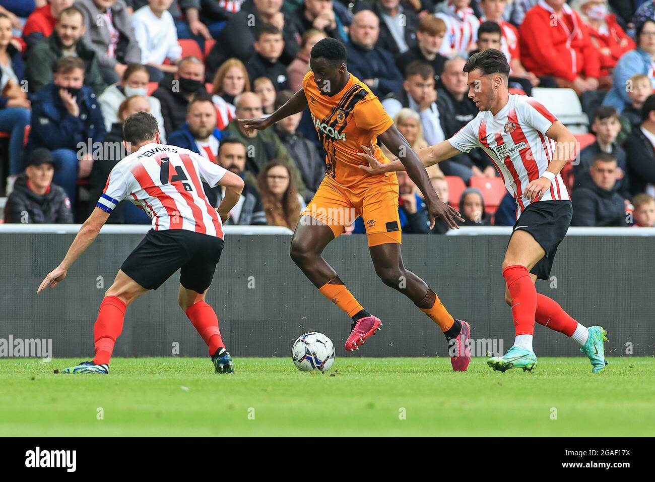 Wing evans hi-res stock photography and images - Alamy