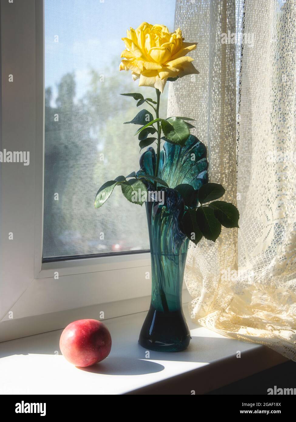 Rose window design hi-res stock photography and images - Alamy