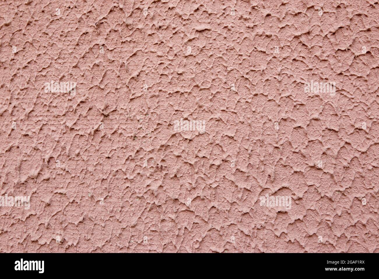 texture of a concrete wall beige plaster background texture Stock Photo ...